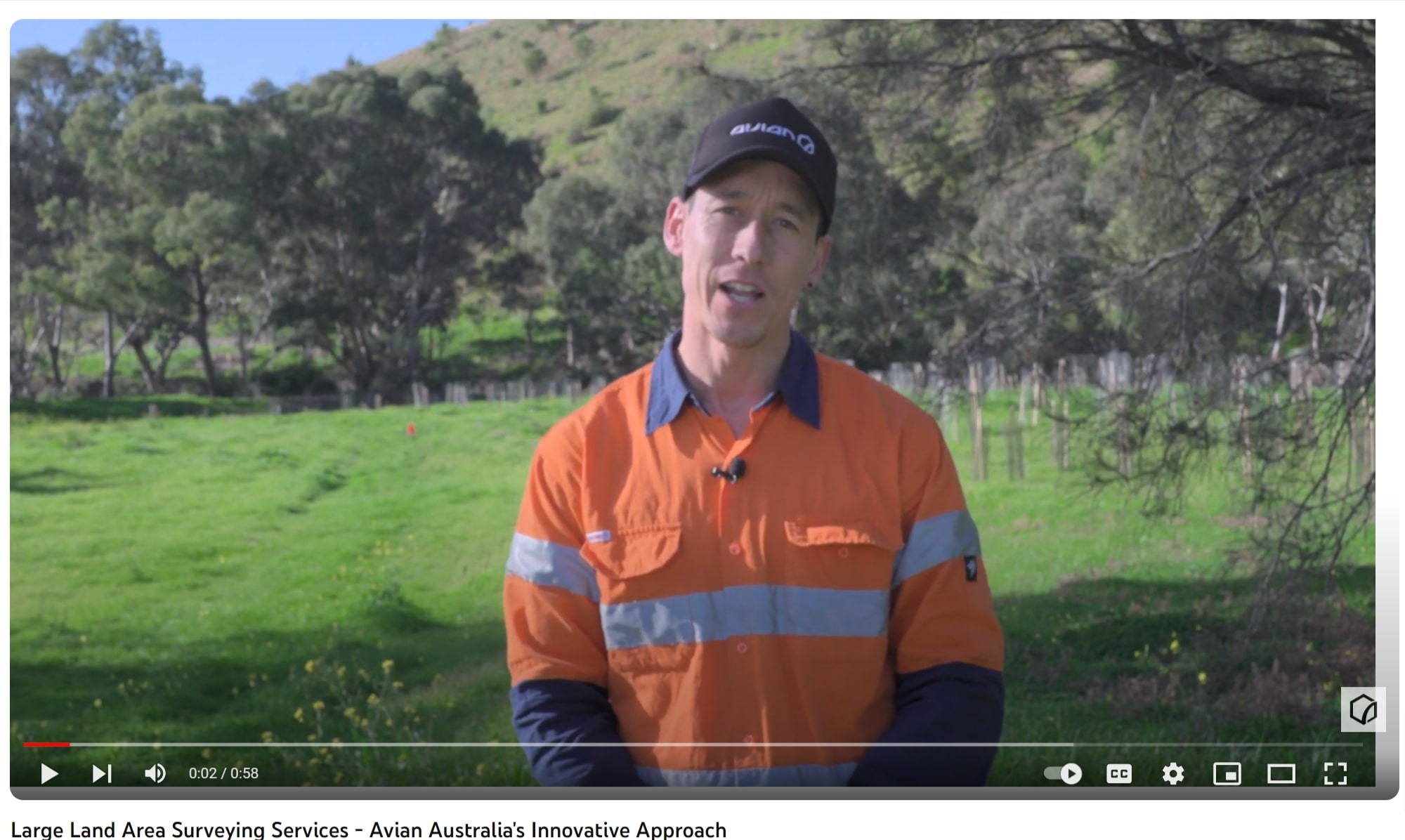 Tree Safety Audit - Avian Australia